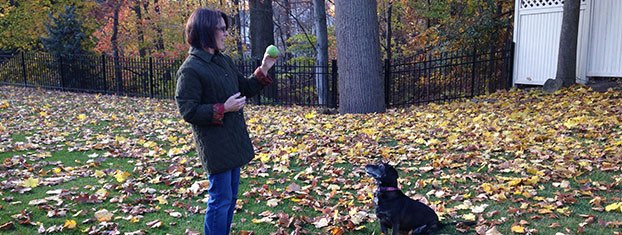 In Home : Kim Mandel – Dog Training | NJ
